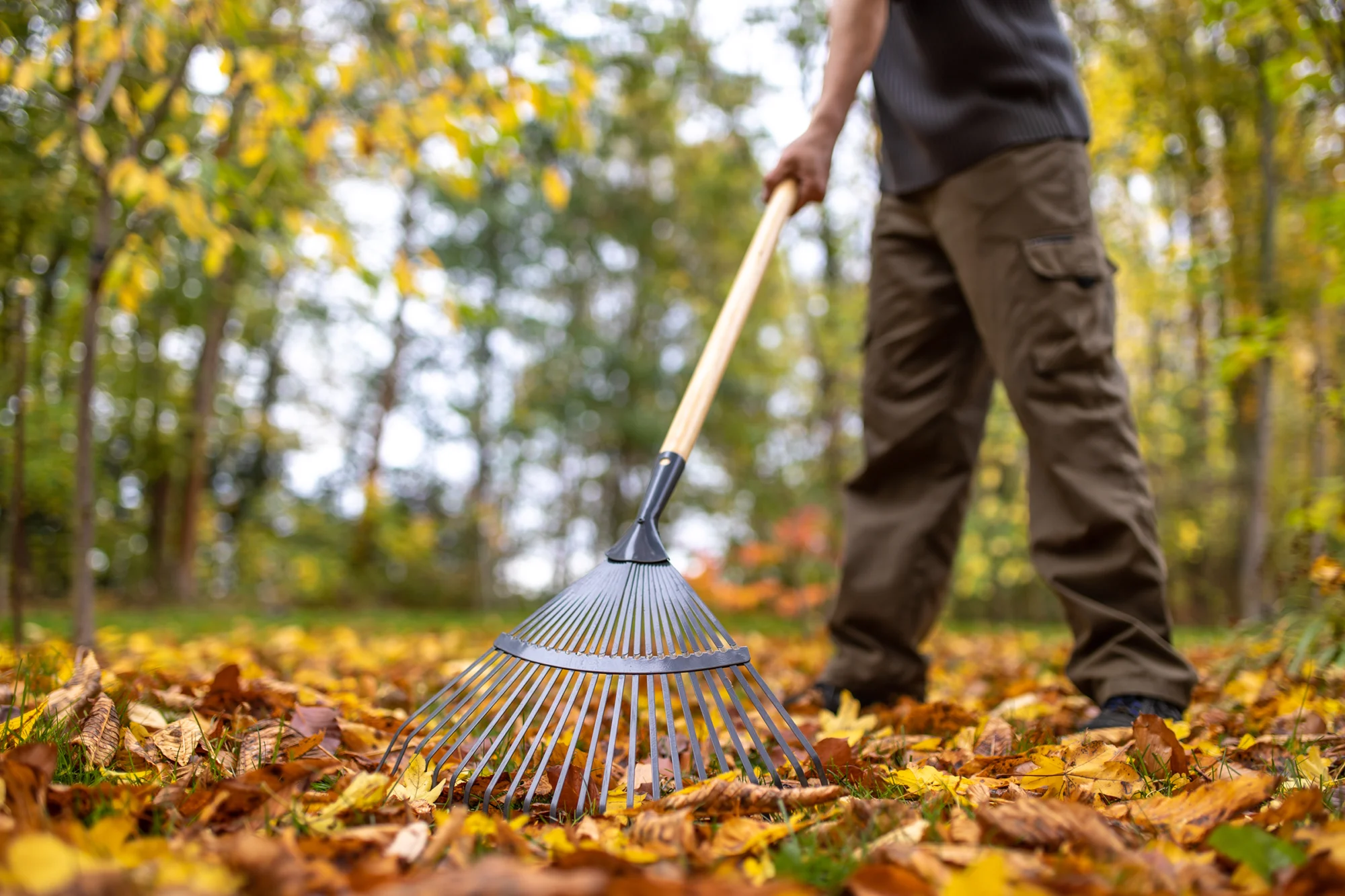 Seasonal Clean-Up Services | Family Landscaping NY